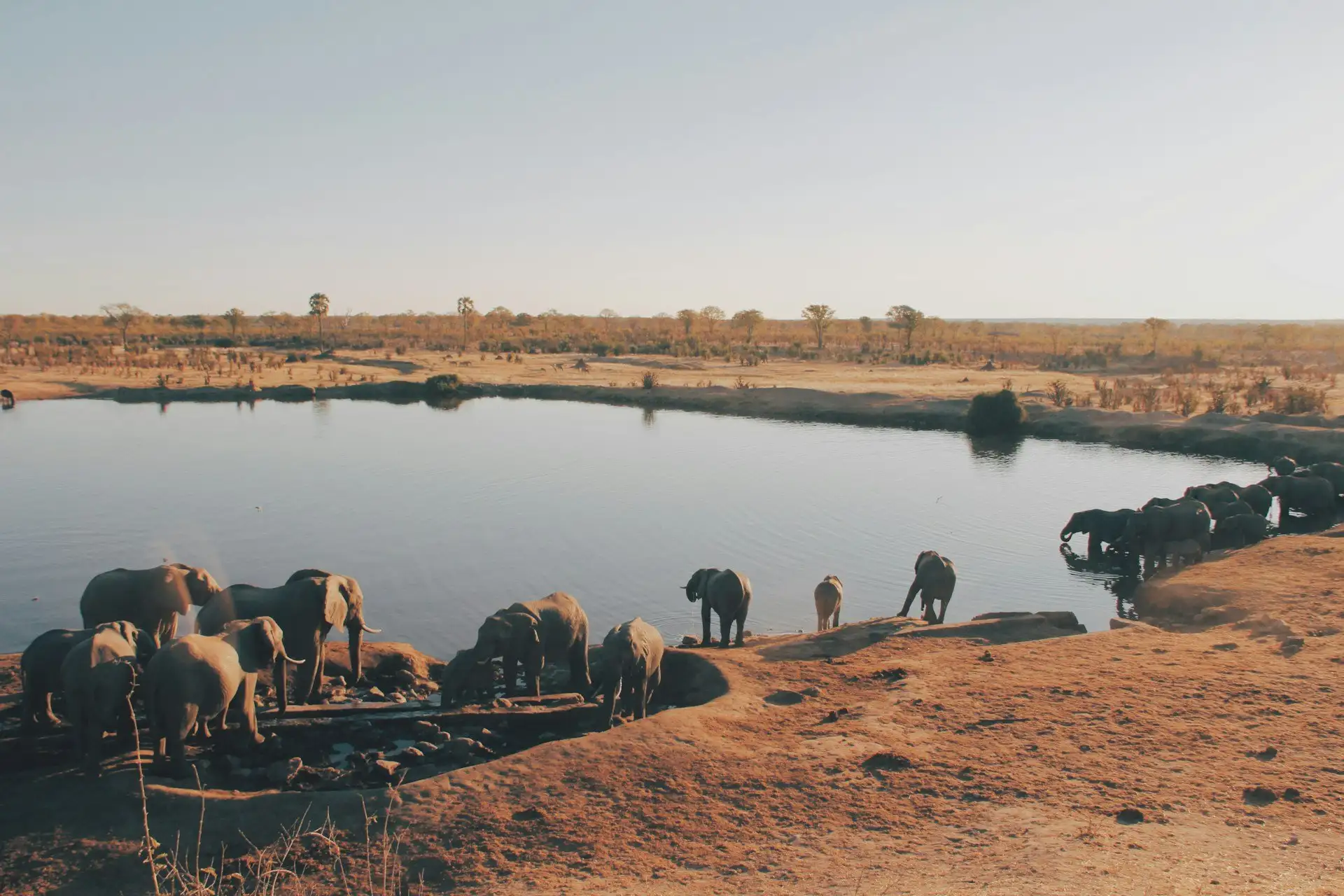 Zimbabwe Reisgids 2026 — Victoria Falls, Hwange & de Grote Zimbabwe ...